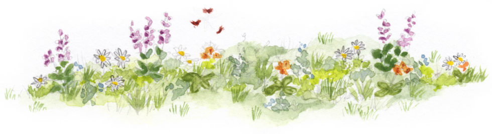 Biotope : Gazons fleuris - Jardin Naturel